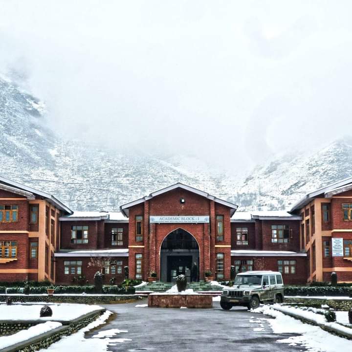 Portfolio | Burhan Showkat