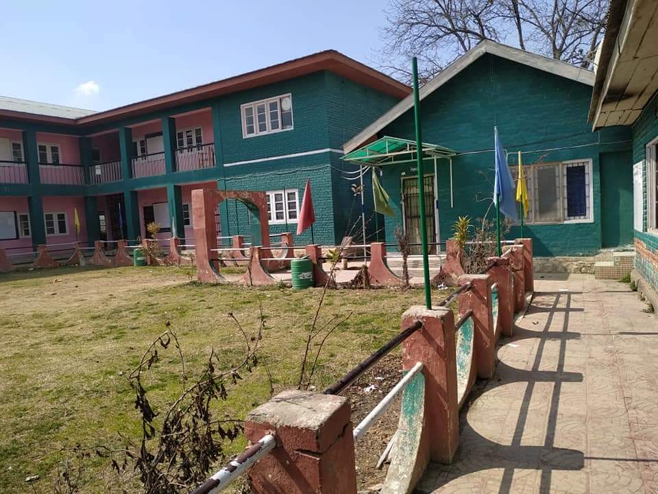 Portfolio | Burhan Showkat